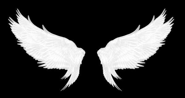 بال فرشته نماد وکتور 1064984