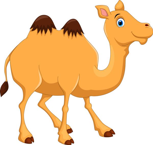 تصویرسازی شتر طرح وکتور لایه باز عکس با کیفیت و وکتور لایه باز پارس ...