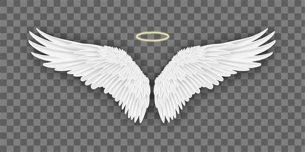 بال واقعی بردار واقع بینانه در پس زمینه شفاف است 1404791