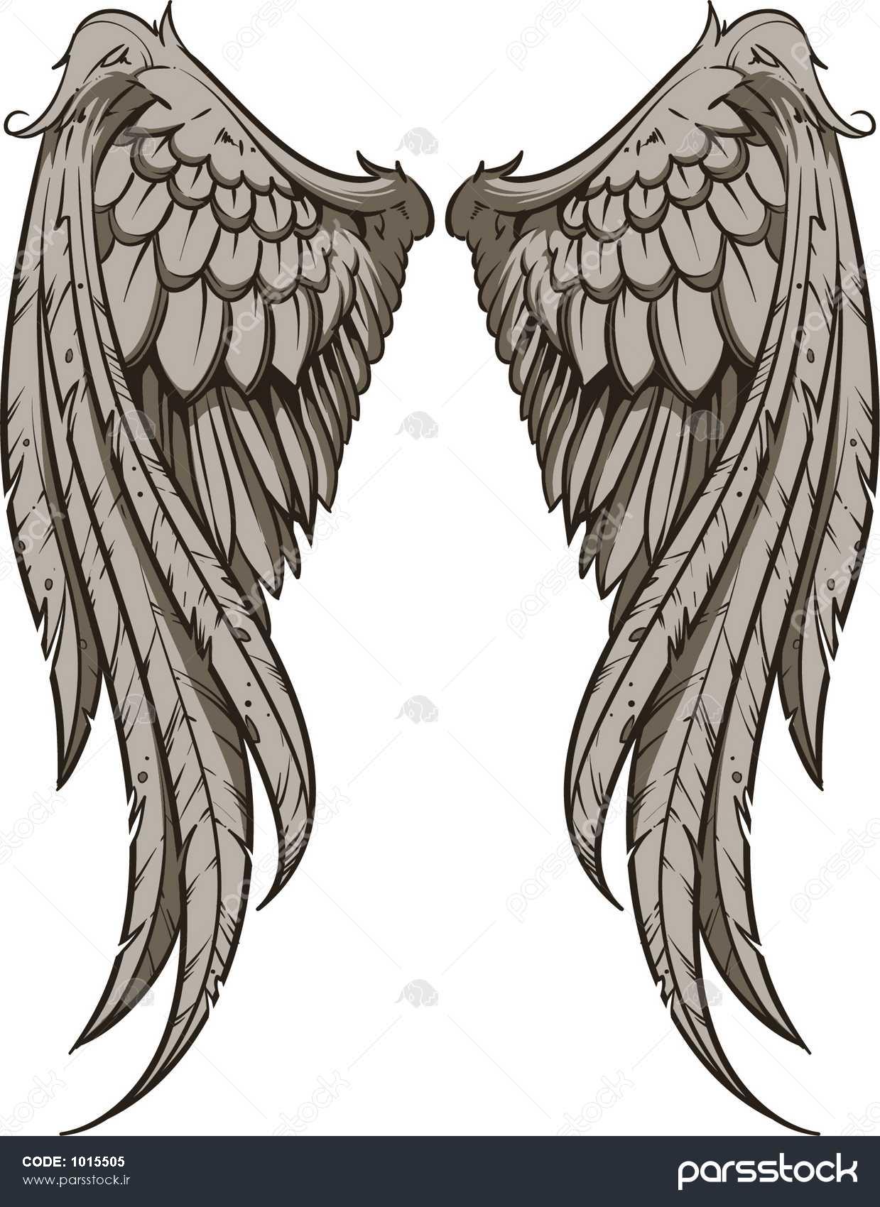 وکتور وکتور بال 1015505