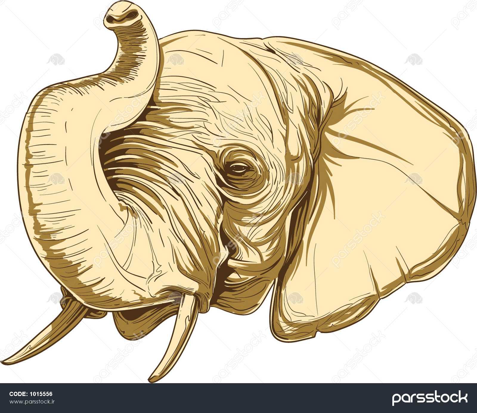 وکتور فیل 1015556