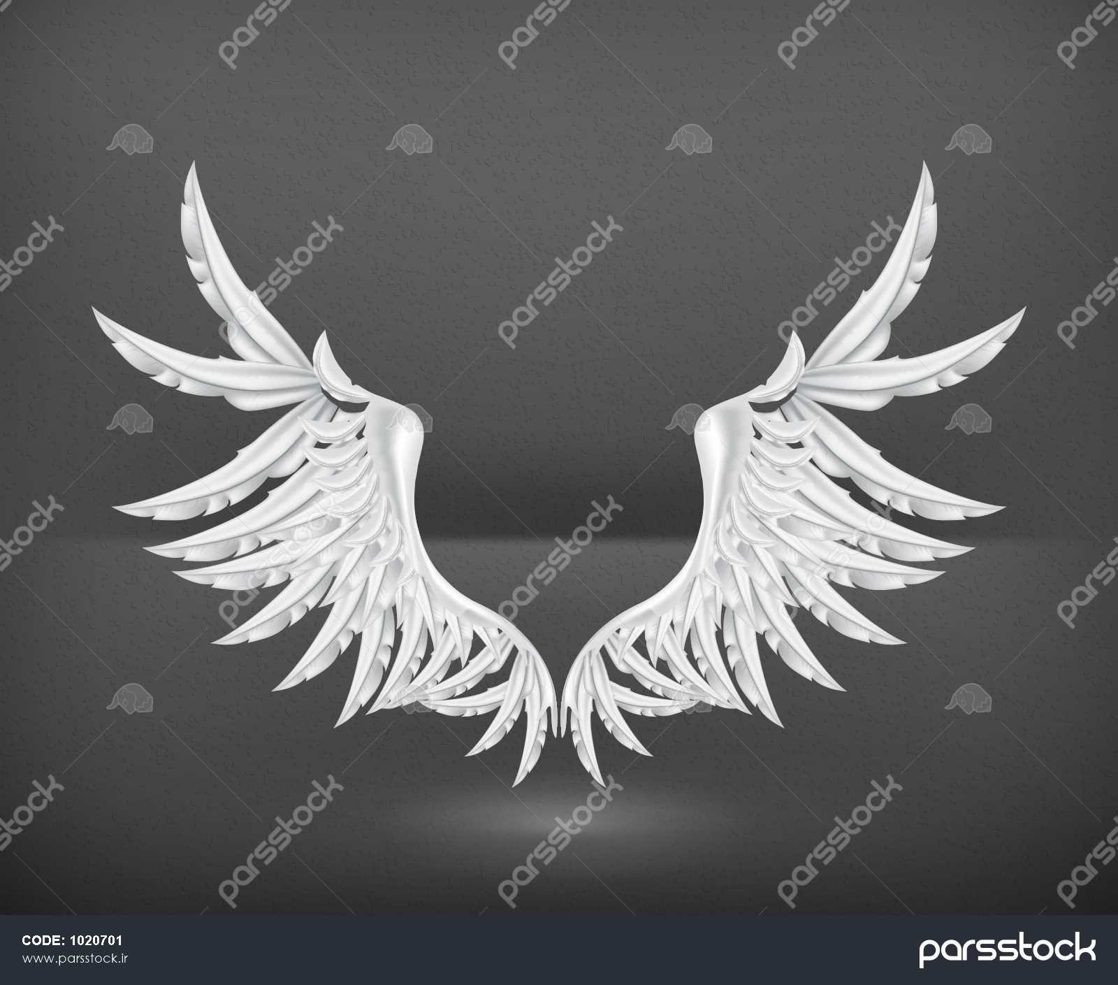 بال سفید وکتور 1020701