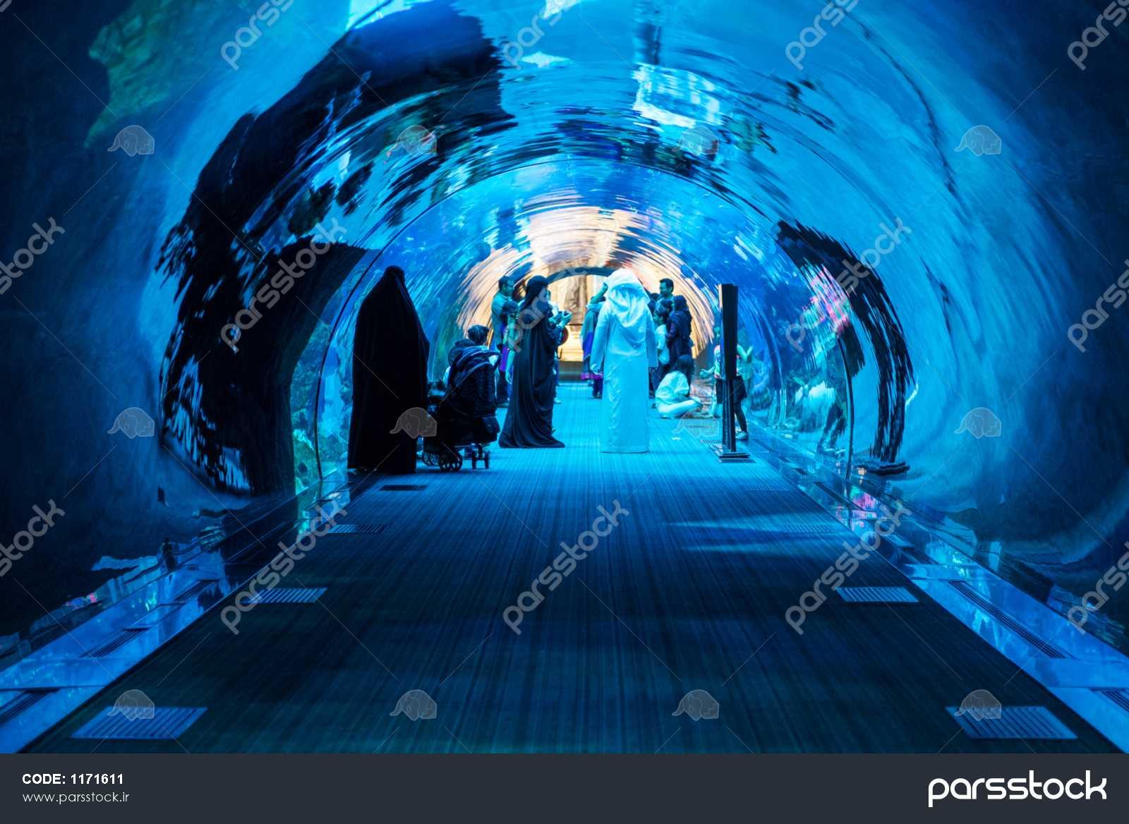 دبی امارات متحده عربی - 28 مارس 2014 افرادی که در داخل تونل اقیانوس ...