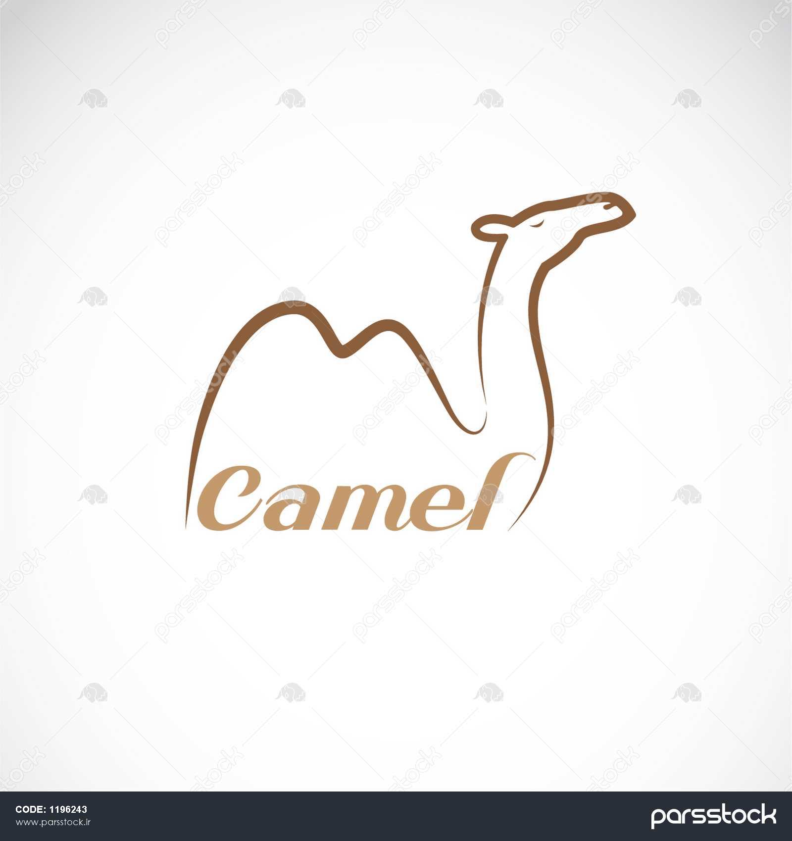 تصویر وکتور طرح شتر در زمینه سفید 1196243