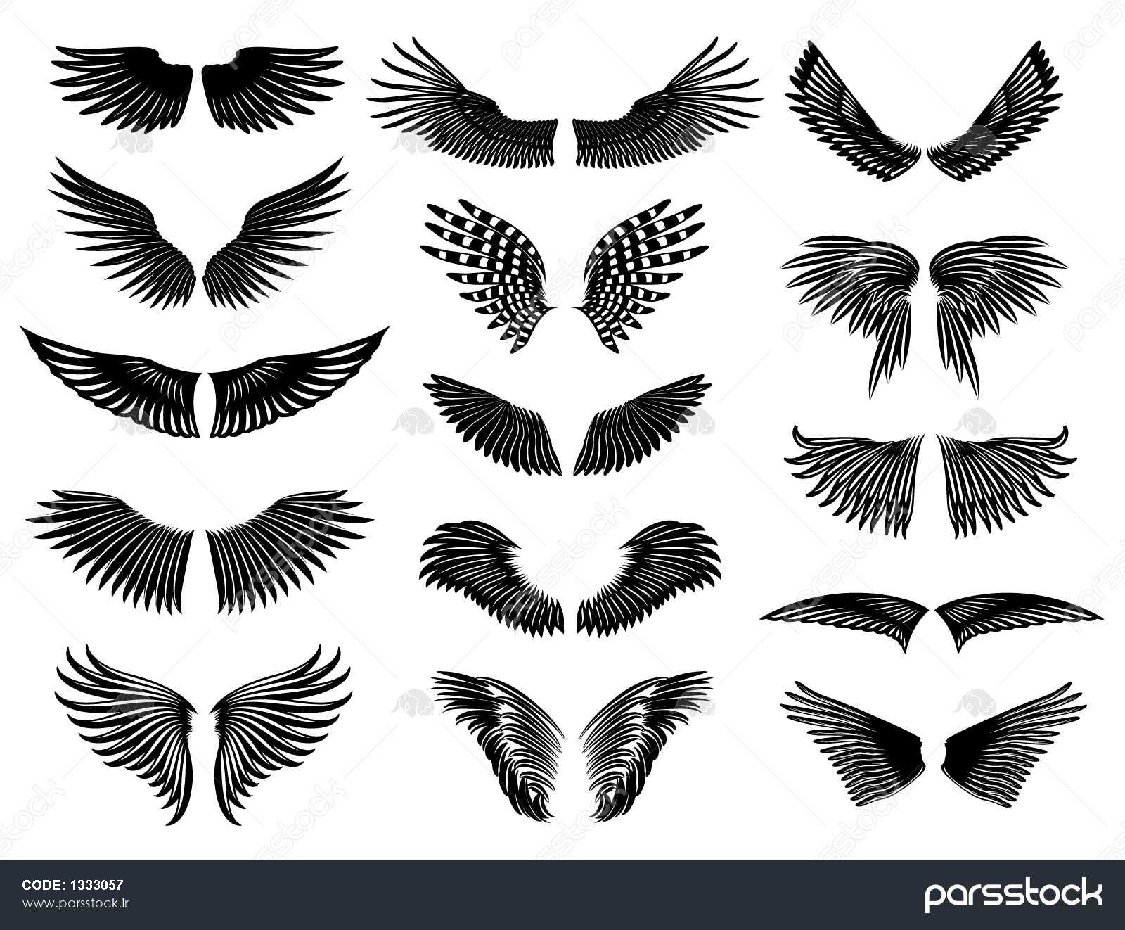 بال های پرندگان واقعی در طبیعت مجموعه وکتور بال های متقارن 1333057