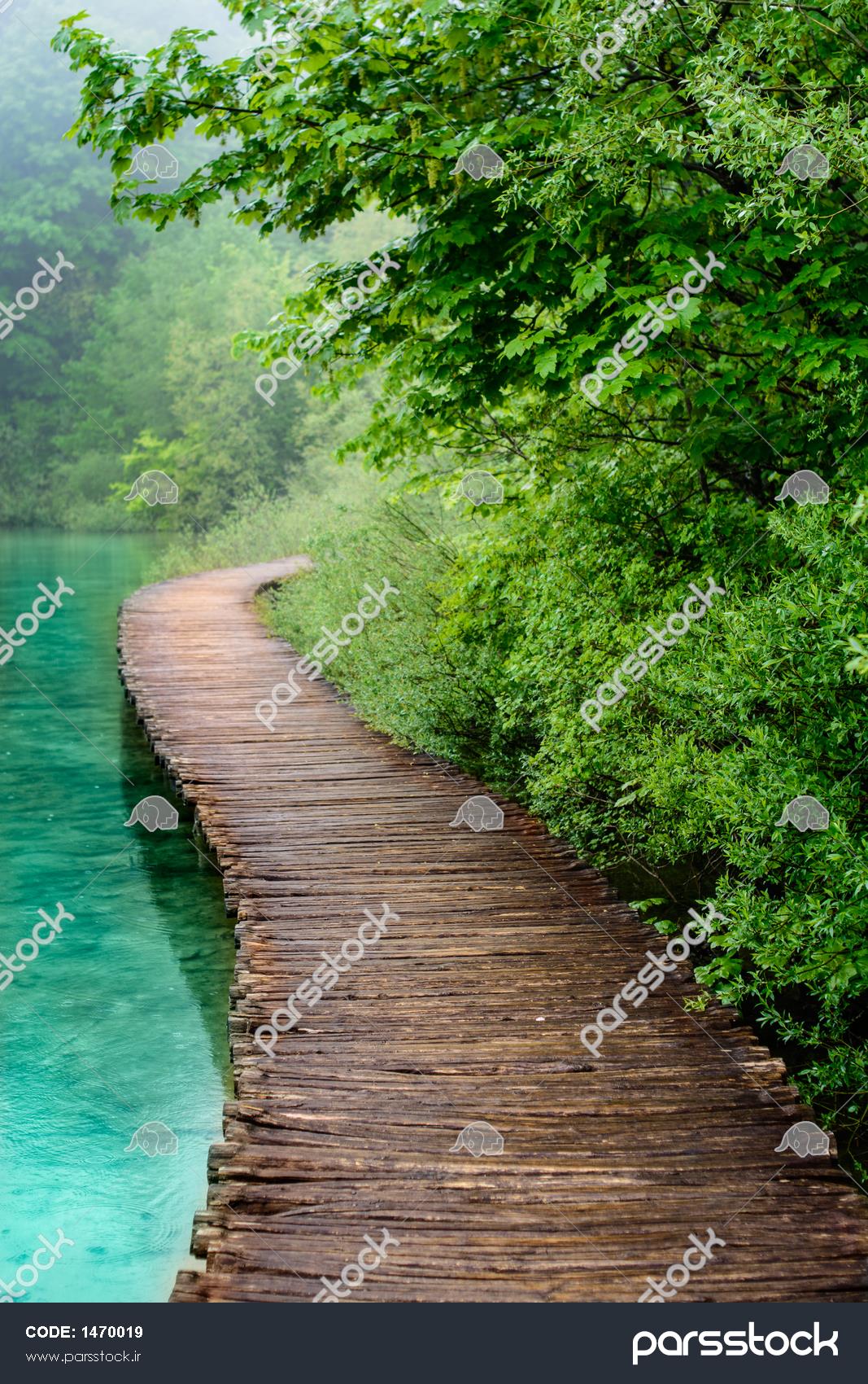 پل چوبی 1470019