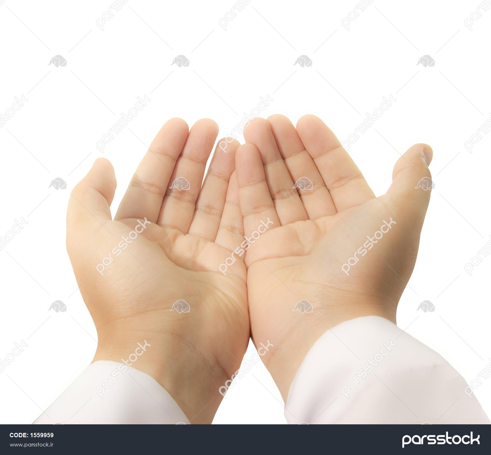 دستهای بلند شده تا به درگاه خداوند متعال دعا كنند 1559959