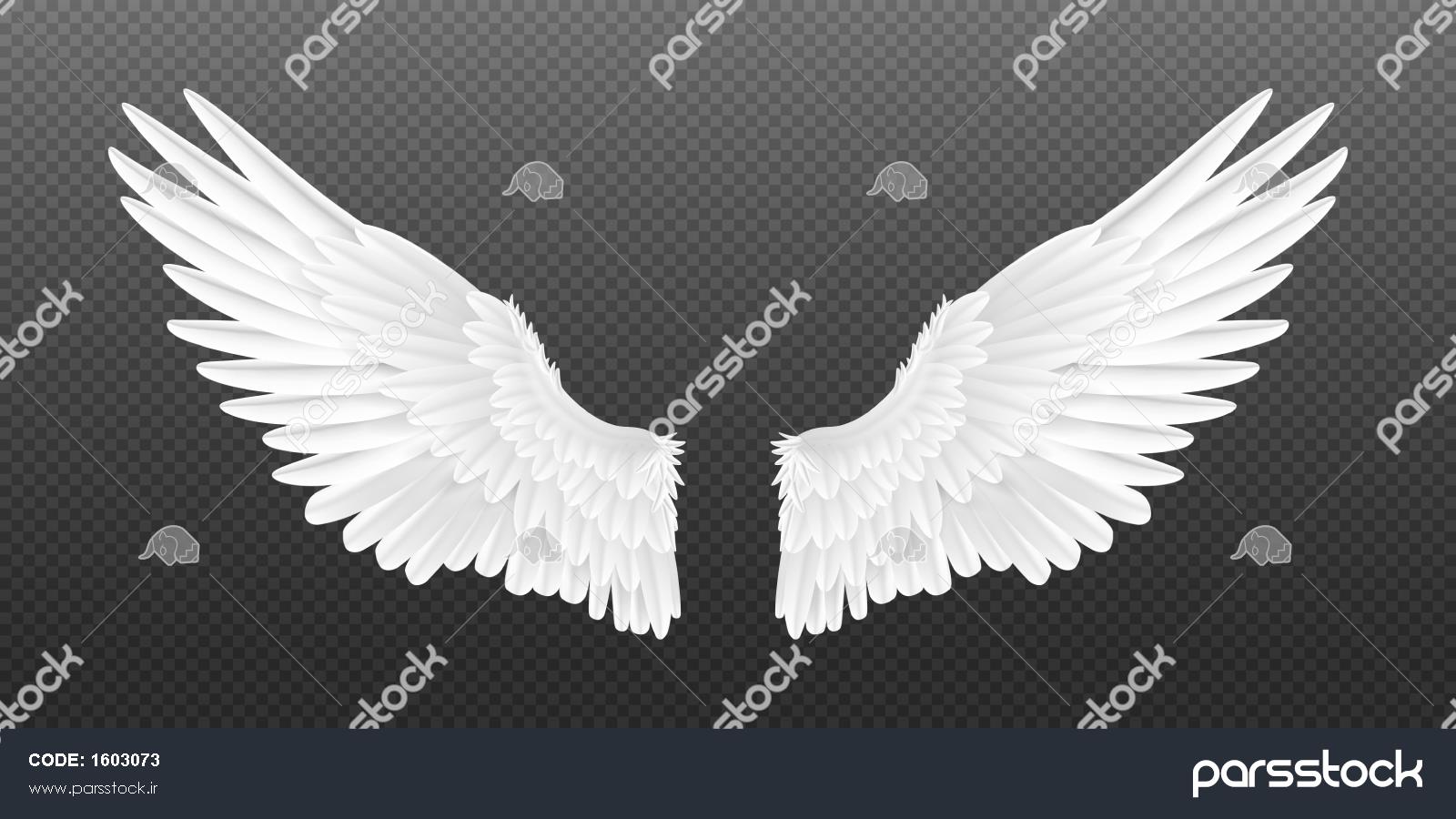 بال های فرشته واقع بینانه جفت جدا شده سفید بال شاهین الگوی طراحی بال ...