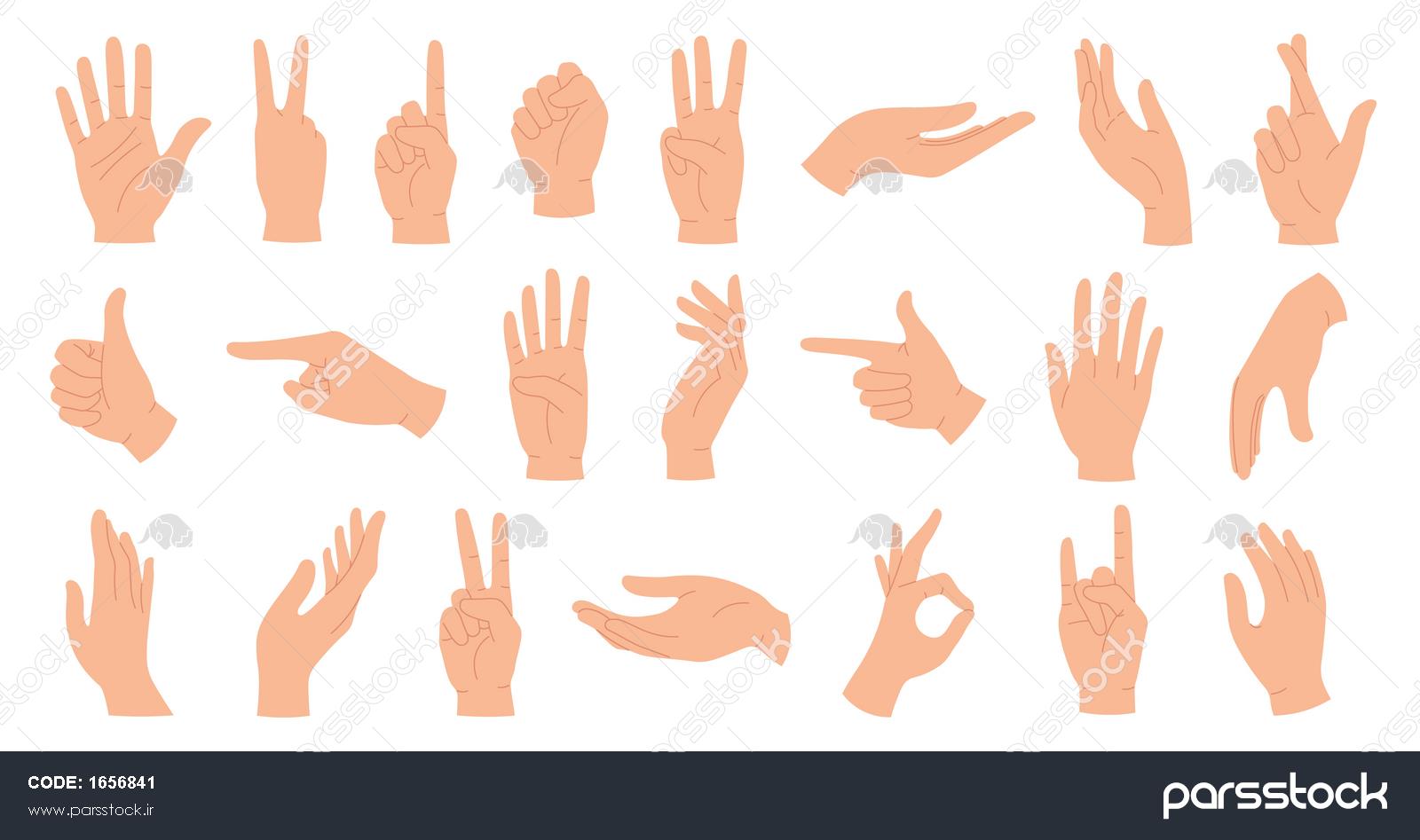 ژست دست ها دست زن در حال نگه داشتن و اشاره انگشتان ضربدری مشت صلح و شست ...