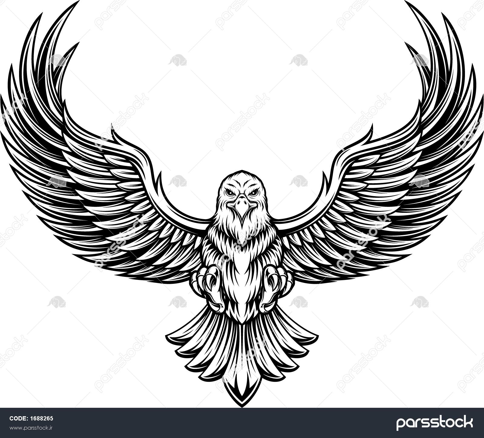 وکتور ایزوله عقاب با بال باز 1688265
