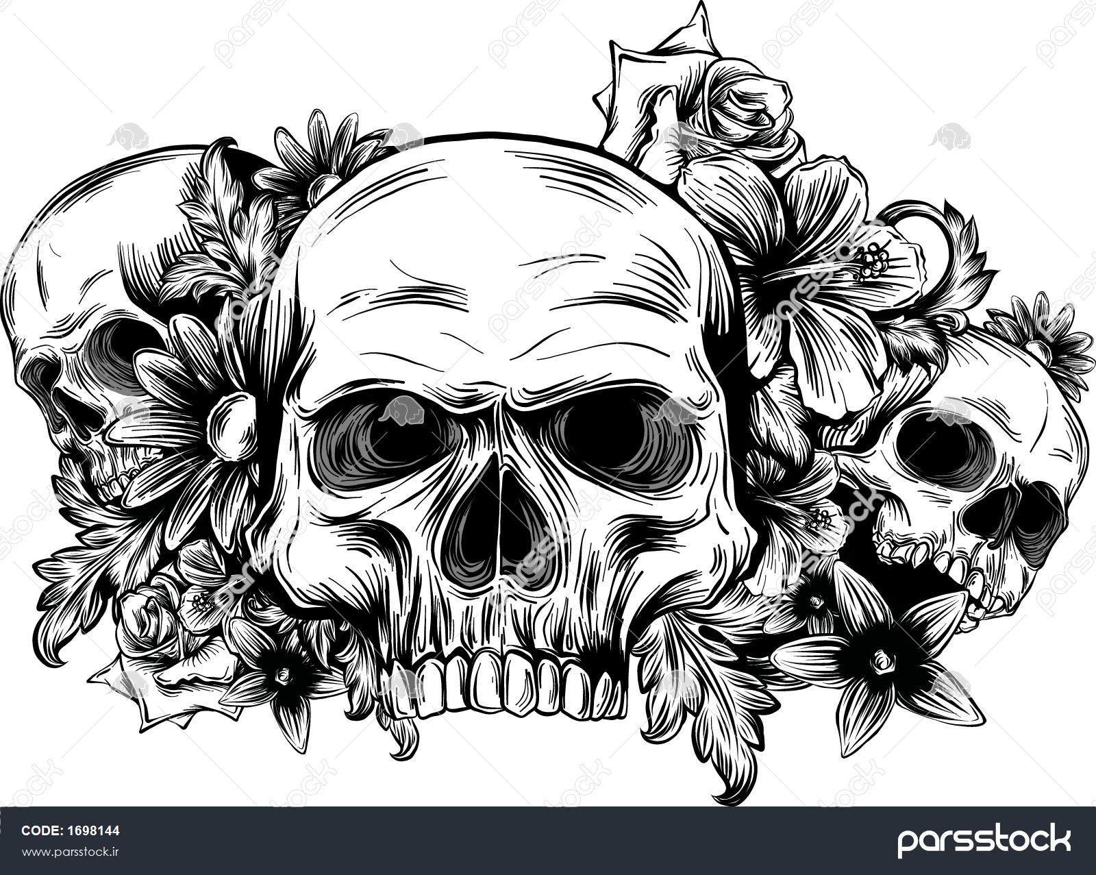 جمجمه انسان با گل رز در پس زمینه سفید 1698144